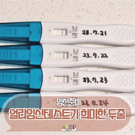 얼리임신테스트기 희미한 두줄 배란테스트기 임신확인 피크 후 임신테스트기 임신확인 네이버 블로그