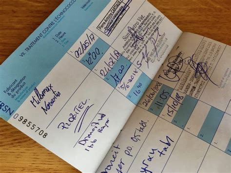 What Is A Pet Passport And Does Your Pet Need One Travelnuity