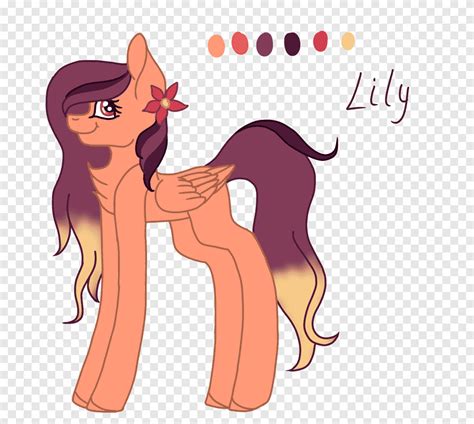 قطة حصان الكلب Canidae ، اقرأ الإسلام Png