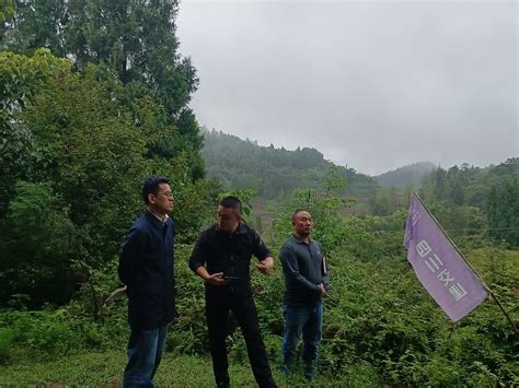 川东公司开展中秋国庆安全生产工作督导检查 四川川东高速公路有限责任公司
