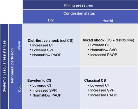 Cardiogenic Shock As A Health Issue Physiology Classification And