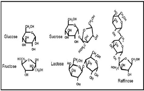 Chemical Structures Of Sugars Download Scientific Diagram