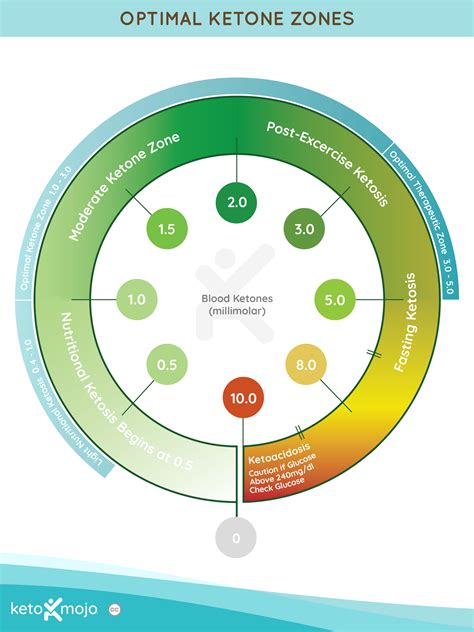 How Dangerous Are Ketones At Amparo Pacheco Blog