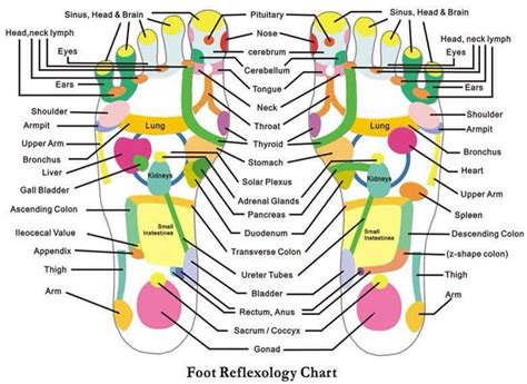 Serenity Reflexology And Massage Umbilo