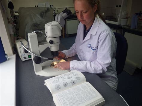 Benthic Macrofauna Analysis Ecospan Environmental