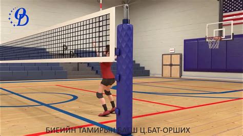Цахим хичээл Анхан шатны сурагчидад зориулсан Волейболын үндсэн техник Youtube