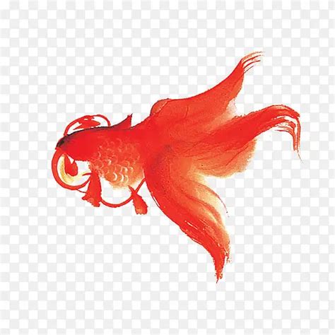 红色喜庆水墨金鱼PNG图片素材下载 图片编号qdornlor 免抠素材网