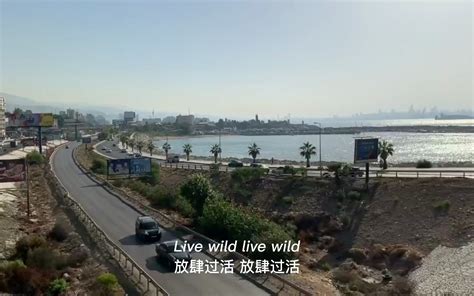 英文推歌 “第一次听这首，人生苦短就该获活得肆意疯狂！！！”—《 Wild 》 笑弄清风拂面 笑弄清风拂面 哔哩哔哩视频