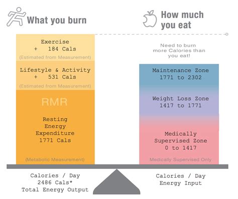 RMR Test Breakdown Resting Metabolic Rate Composition ID