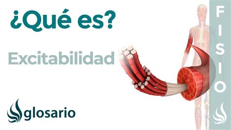 ֍ Capacidad Del Músculo Excitabilidad ⚕️ Clínica Estemedic