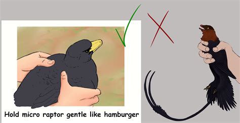 Koprolitos Viajando Al Pasado Con Small Microraptor