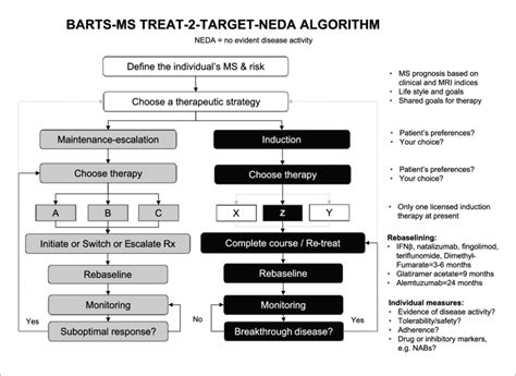 An Example Of A Treat To Target Algorithm Based On Neda For The