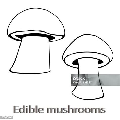 버섯입니다 블랙 아이콘입니다 식용 균 류입니다 요리 사이트 또는 요리사도 서 일러스트 제조 법 버섯 채식 메뉴 부엌 인테리어 디자인 벡터입니다 가을에 대한 스톡 벡터 아트