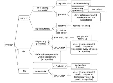 Simplified Algorythm Of Clinical Management For Detailed And Specific Download Scientific