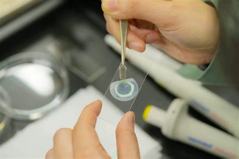 Сайн хичээлийн Сайн хичээлийн хэрэглэгдэхүүн