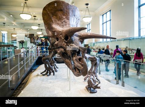 Usa New York City Upper West Side Museum Of Natural History