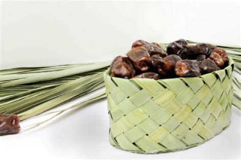 سعف تسخر طاقات الشباب في القرى لإعادة تصنيع ورق النخيل جريدة الغد