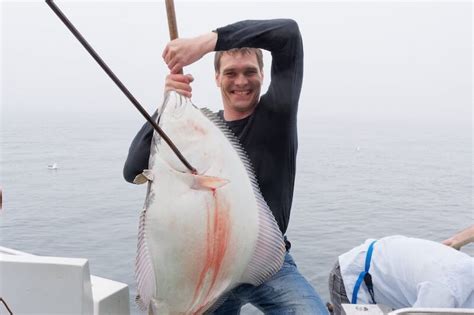 Itugid Эксклюзивный туроператор на Курильских островах