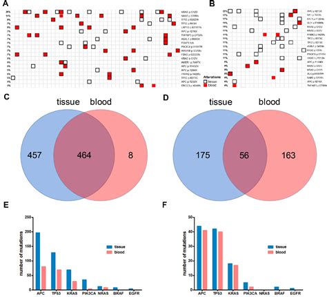 Figure 3 From Intra Tumor Heterogeneity Of Colorectal Cancer