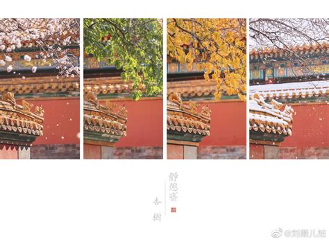 一棵树的春夏秋冬 纯图片版 春生 高清图片堆糖美图壁纸兴趣社区