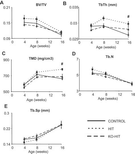 Elevated Serum Igf 1 Levels Are Sufficient To Preserve Cancellous Bone Download Scientific