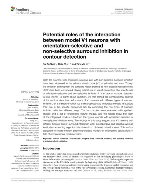 Pdf Potential Roles Of The Interaction Between Model V1 Neurons With Orientation Selective And