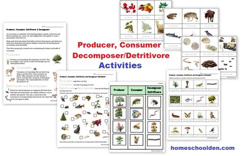 Examples Of Decomposers Producers Consumers Simple Food Web Examples