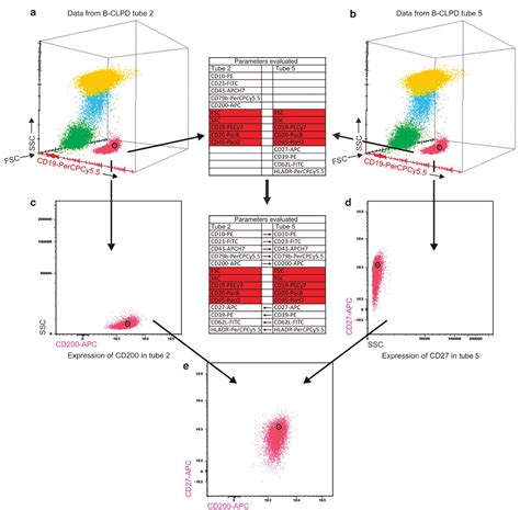 Schematic Representation Of The Data Calculation Process