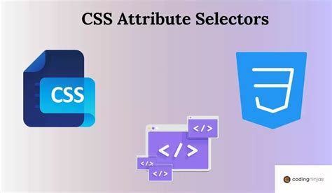 Css Attribute Selectors Naukri Code 360