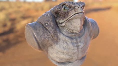 Introduction To Renderman Studio Fxphd