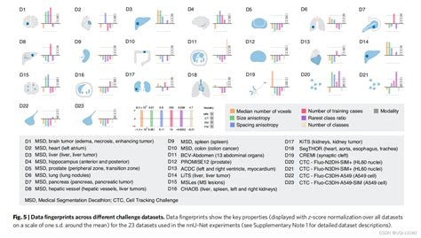 论文笔记：nnu net a self configuring method for deep learning based