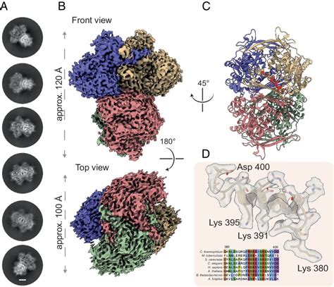 From Chaos To Order The Case Of Mips Mapping Ignorance