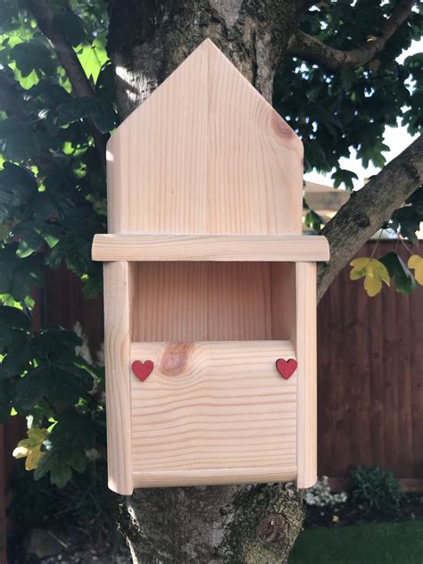 Open Front Bird Robin Nesting Box Etsy UK