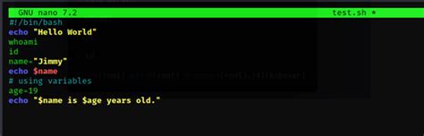 Bash Bourne Again Shell This Is A Basic Tutorial On Using Bash By Milton Hernandez Mar