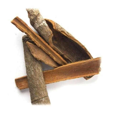 Ashok Chhal At ₹ 35kg Saraca Indica Bark In Ahmedabad Id 22821197933