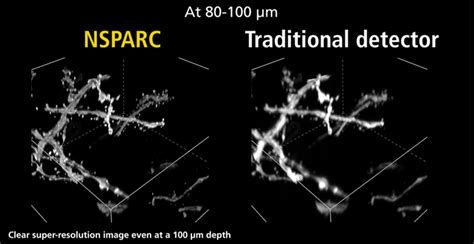 尼康生物影像中心axr Nsparc 超分辨率激光扫描共聚焦显微镜上机培训通知 清华大学生命科学学院