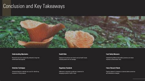 Conclusion And Key Takeaways Mycotoxin Ppt Example St Ai Ss Ppt Slide