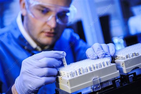 Genetics Research Stock Image C019 9710 Science Photo Library