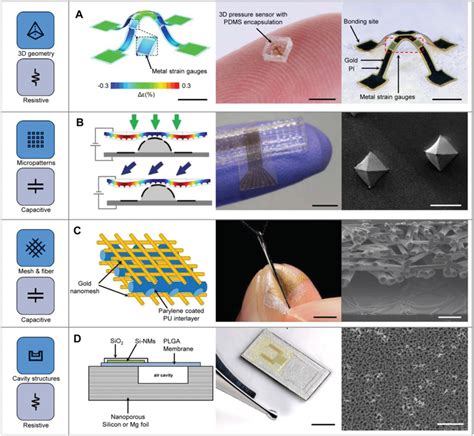 Engineered Structures For Bio‐interfaced Pressure Sensors A Simulated Download Scientific