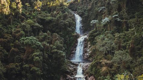 🦧 The J Code Jungle Financial Jeopardy And Opportunity For Savings For Healthcare Plan