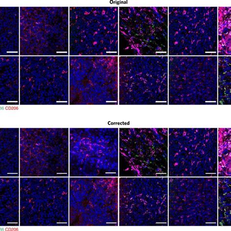 Original And Corrected Fig 5g Download Scientific Diagram