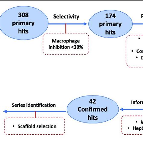 Schematic Of High Throughput Screening Hts Of A Library Of Small Download Scientific