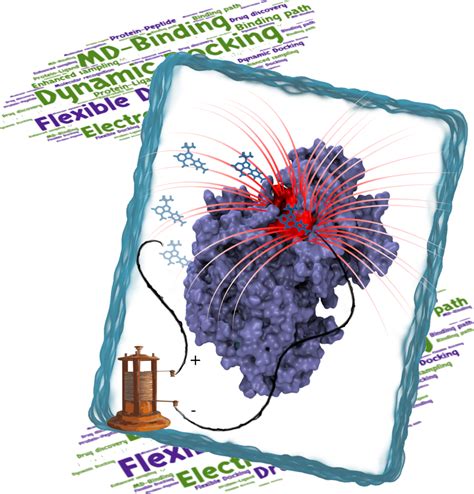 Enhanced Sampling Molecular Dynamics Computational Modelling Of Nanoscale And Biophysical