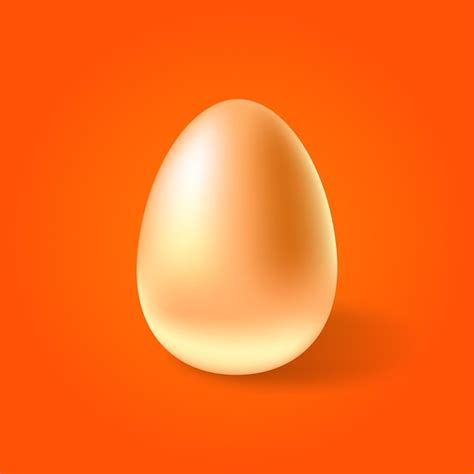Premium Vector Realistic Egg Vector Illustration Design