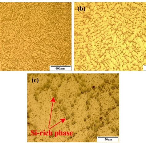 Optical Micrographs Of Sample No 4 With Different Magnifications