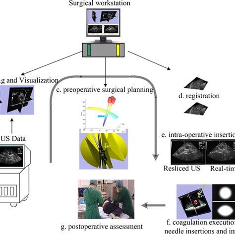 Zeyang Xia Professor At Chinese Academy Of Sciences Director Of Cassiat Soft Robotics Center
