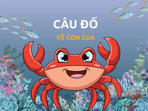 Câu Đố Về Con Cua
