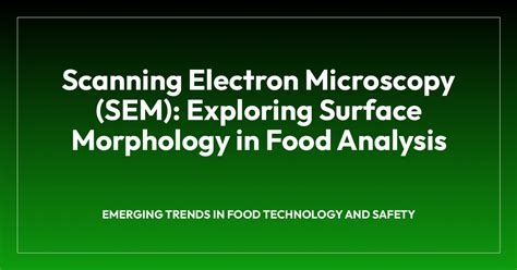 Scanning Electron Microscopy Sem Exploring Surface Morphology In Food Analysis • Food Safety