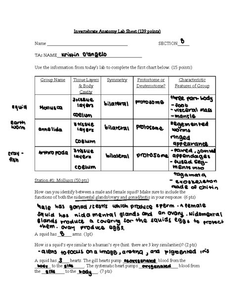 InvertebrateAnatomyLabWS Invertebrate Anatomy Lab Sheet Points