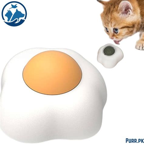 Cat Nip Wall Price In Pakistan Buy Online Now